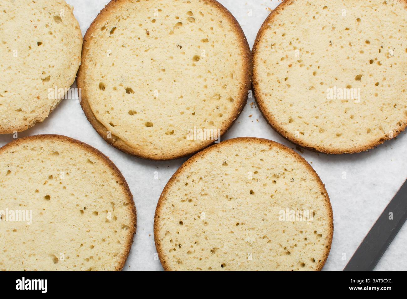Overhead view of vanilla cake layers on a white countertop, top view of ...