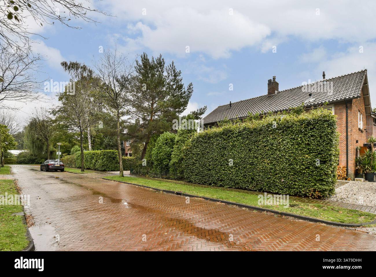 A picturesque pathway winding through a vibrant garden with manicured ...