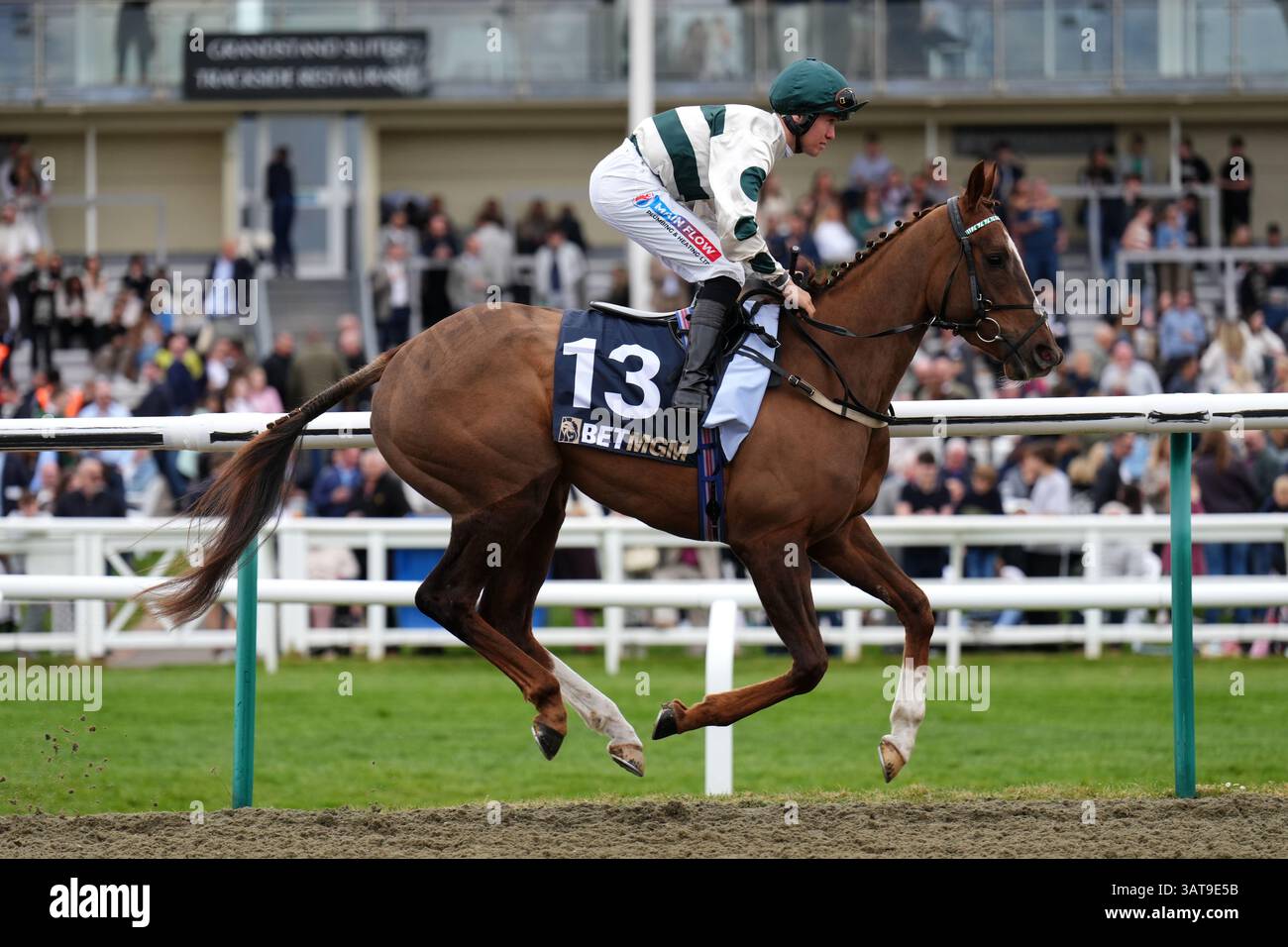 Dandy Magic ridden by Rhys Elliott goes to post ahead of the BetMGM All ...