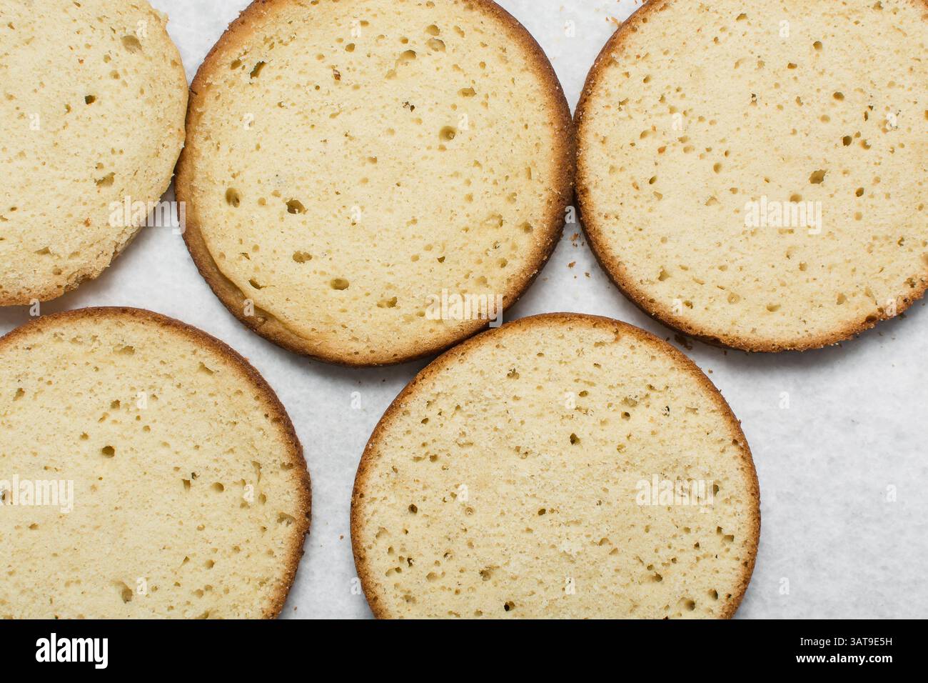 Overhead view of vanilla cake layers on a white countertop, top view of ...
