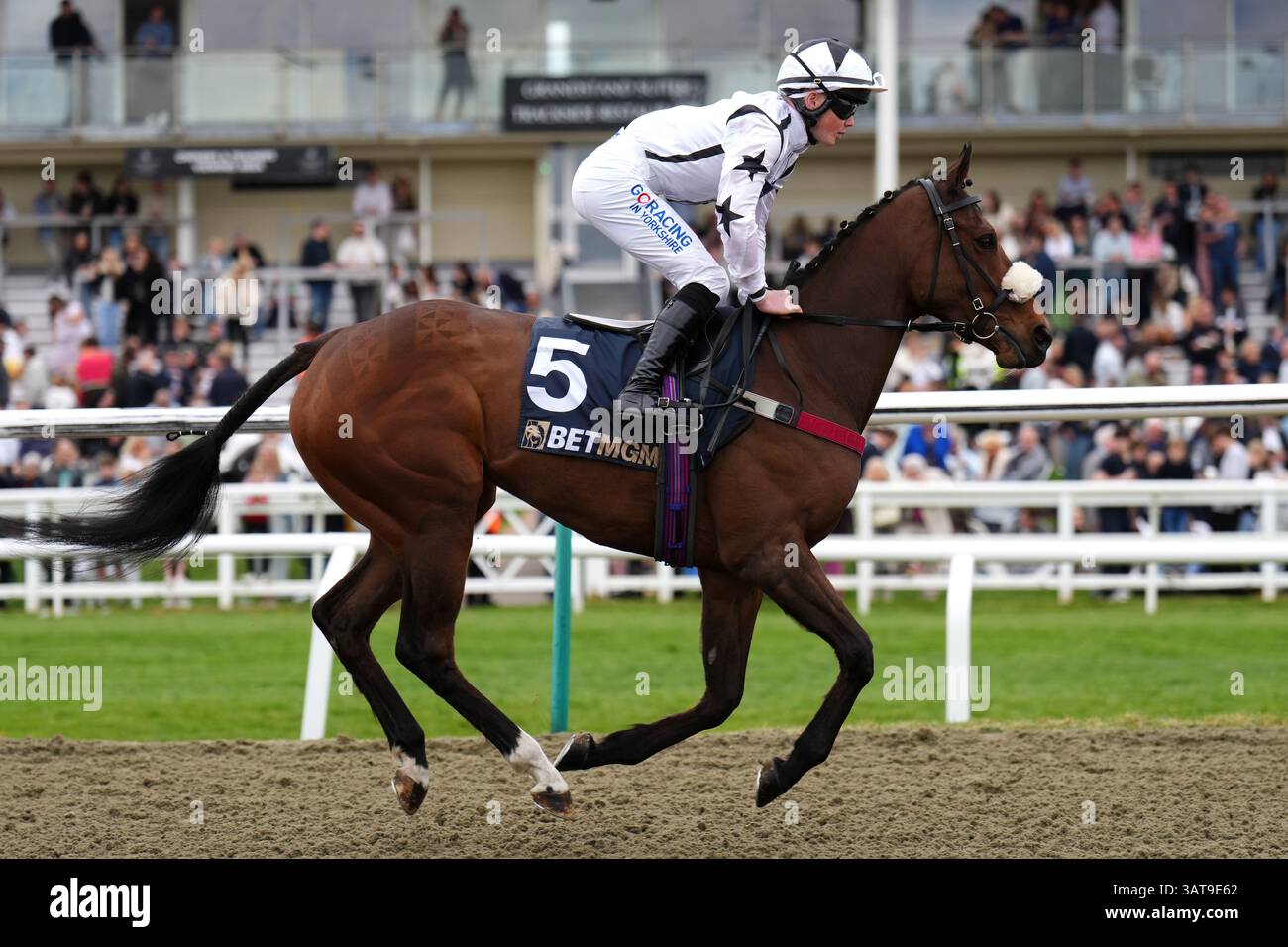 Blufferonthebus ridden by William Pyle goes to post ahead of the BetMGM ...