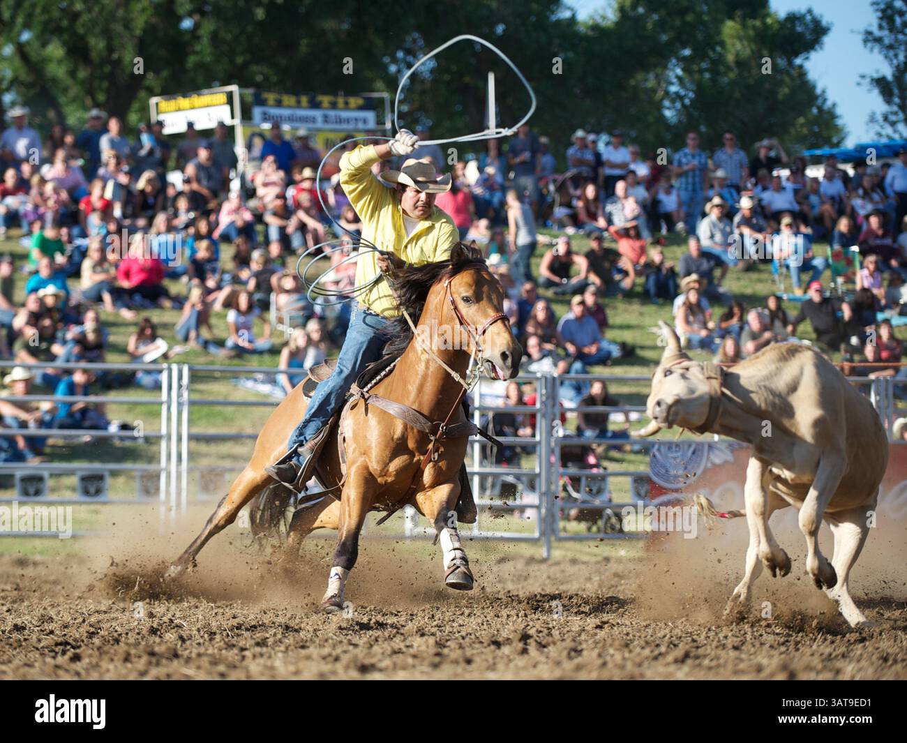 Anival hi-res stock photography and images - Alamy