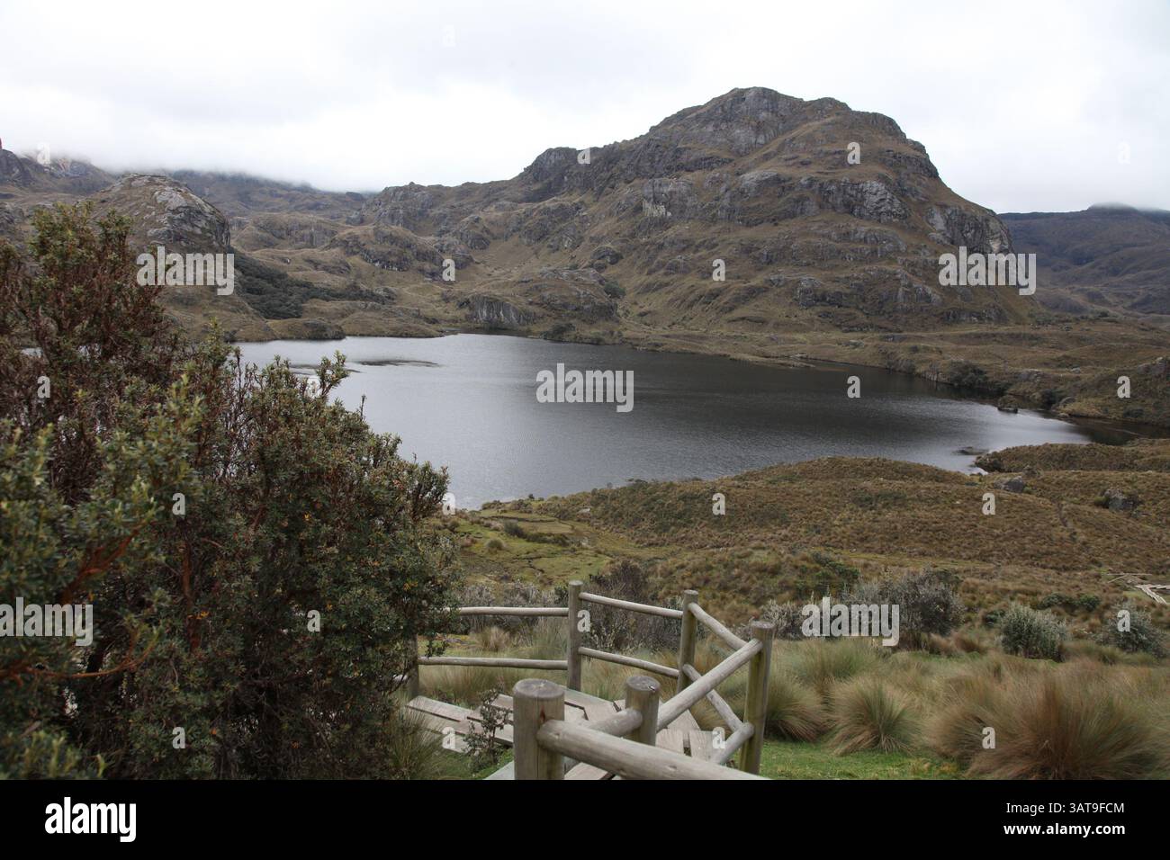 May 28, 2013 - Cuenca, azuay, ecuador - Cuenca , 09/05/2013. parque nacional el cajas, es un ...