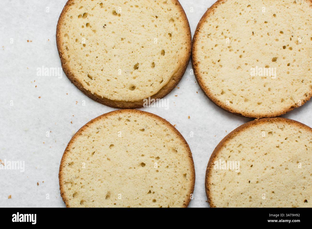 Overhead view of vanilla cake layers on a white countertop, top view of ...