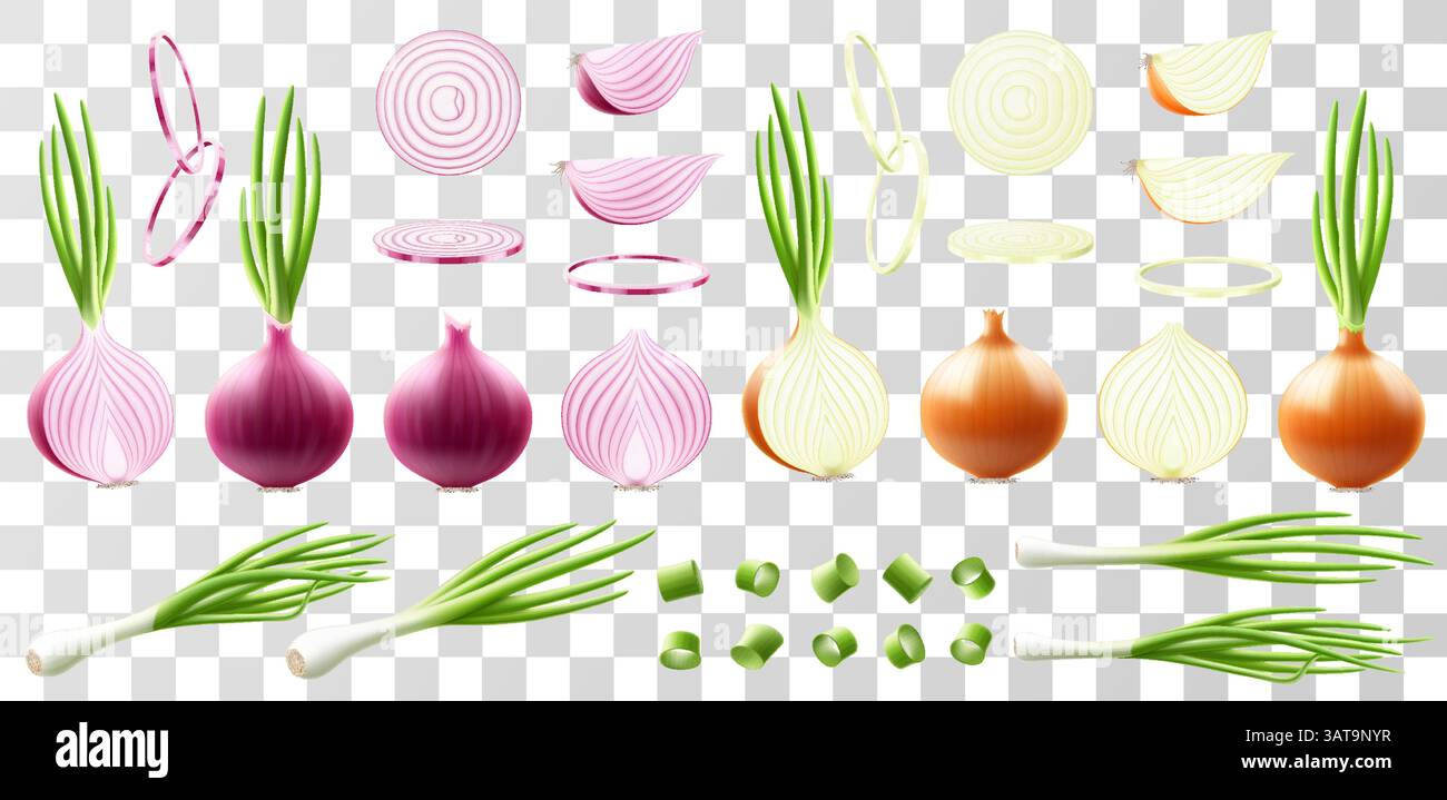 Set of yellow and red onions and bunches of green onions. Whole bulb ...