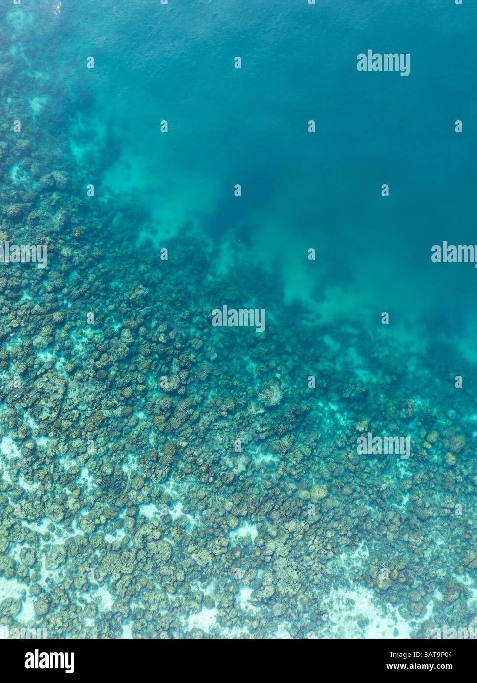 Aerial view of a coral reef fringing deeper blue waters in a tropical ...