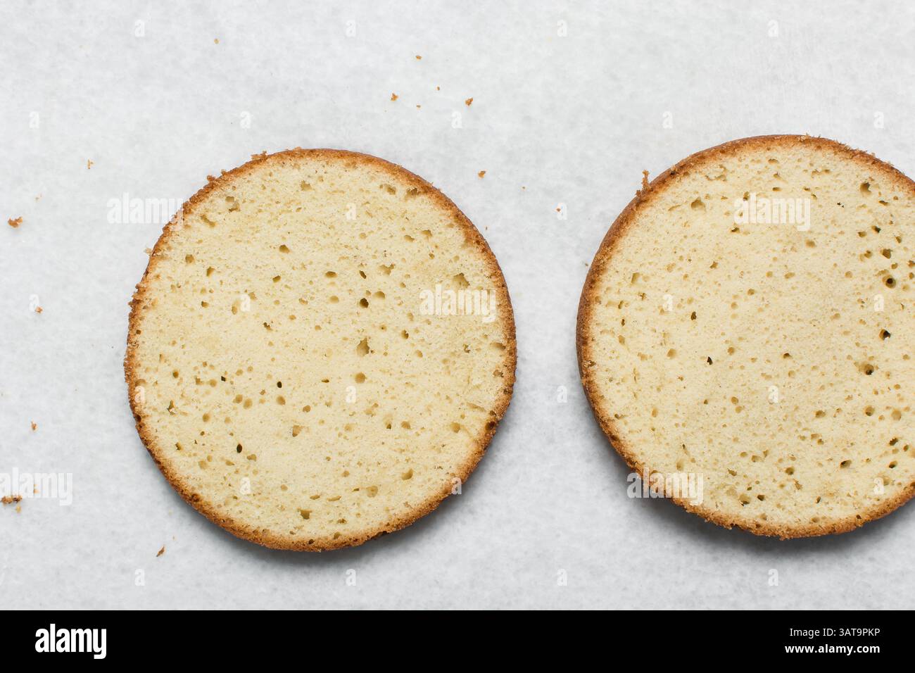 Overhead view of vanilla cake layers on a white countertop, top view of ...