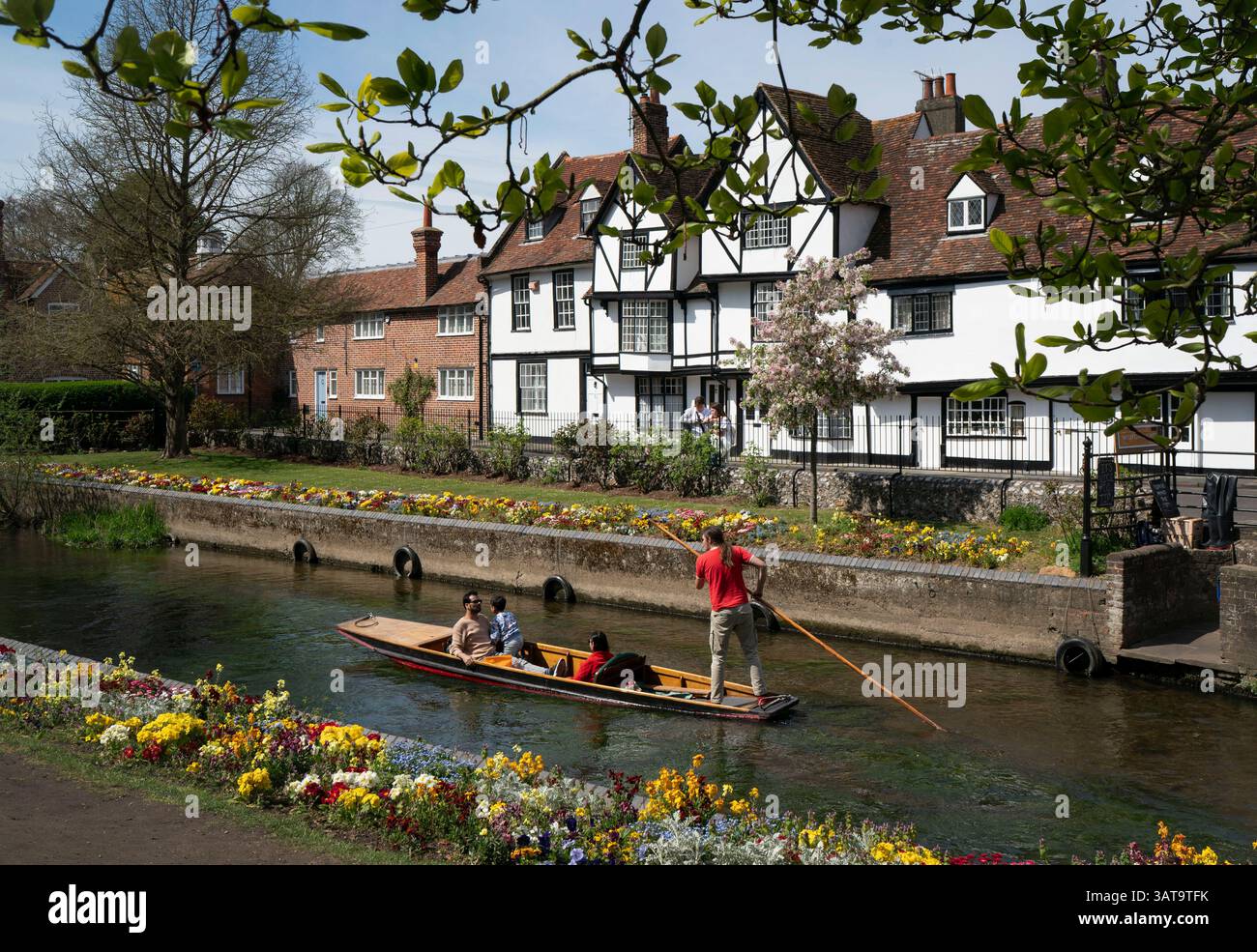 People enjoy punting on the Great Stour through Westgate Gardens in ...