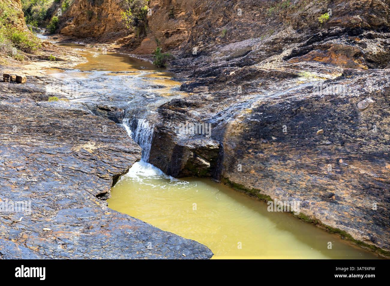 scenic canyon in the wild of colombia Stock Photo - Alamy