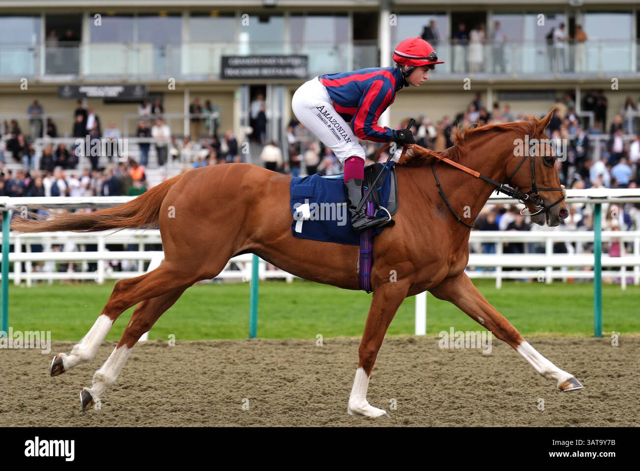 Tides Of War ridden by Taryn Langley goes to post ahead of the BetUK ...