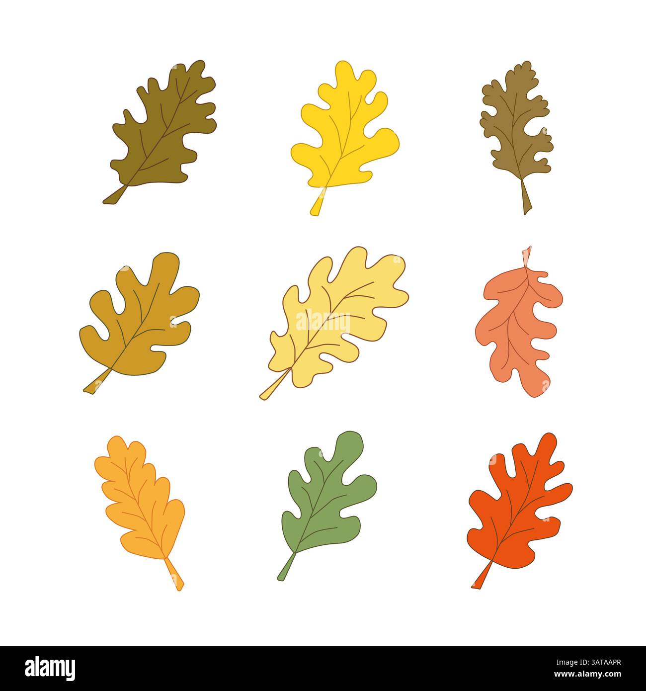 colorful set of oak autumn leaves. hand drawn. vector Stock Vector ...