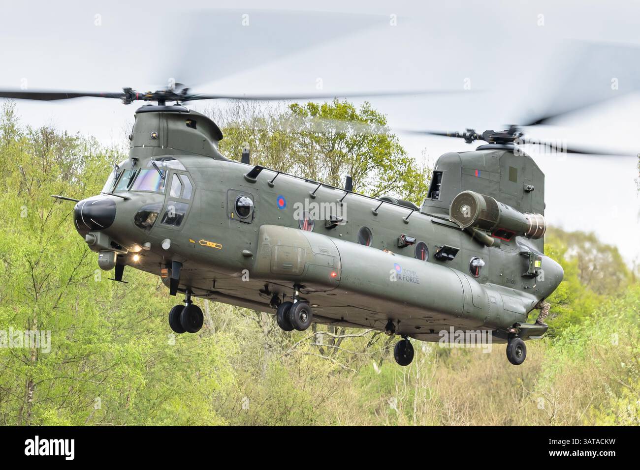 A Boeing Chinook HC6 military transport helicopter of the British Royal ...