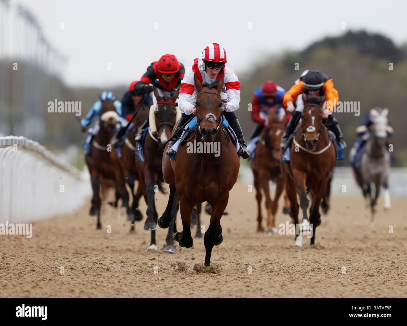 Wonder Legend ridden by Daniel Muscutt after winning the BetUK All ...
