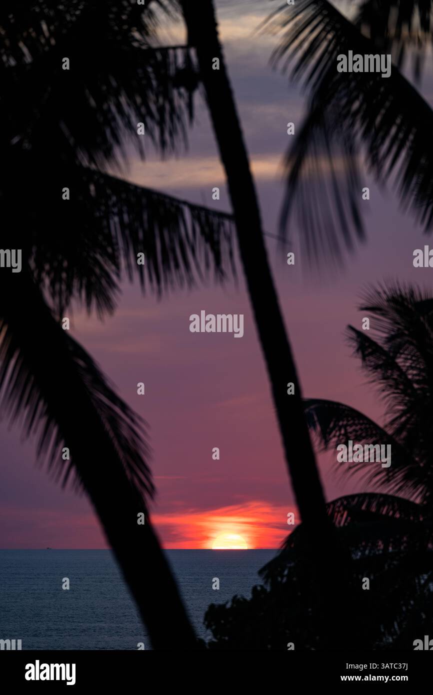 Vivid sunset behind palm hi-res stock photography and images - Alamy