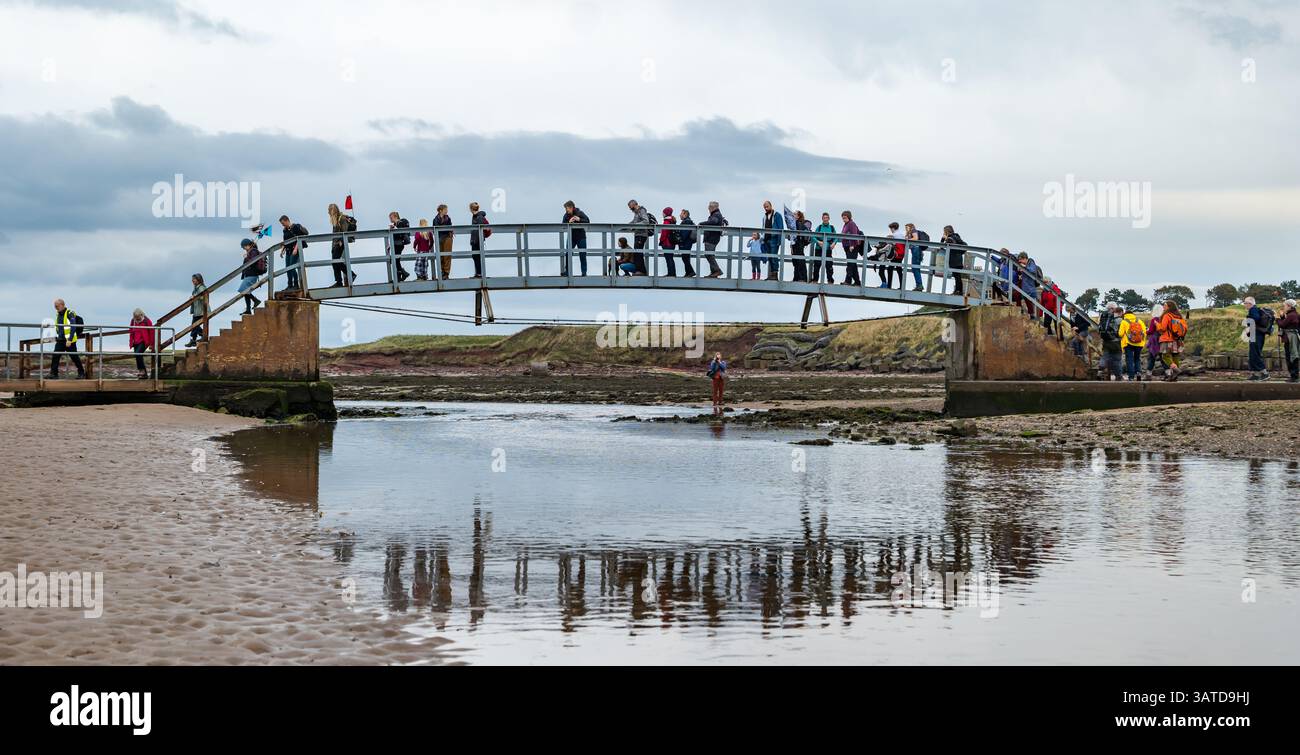 Walkers crossing footbridge at low tide for Cop26 Pilgrimage, Belhaven ...