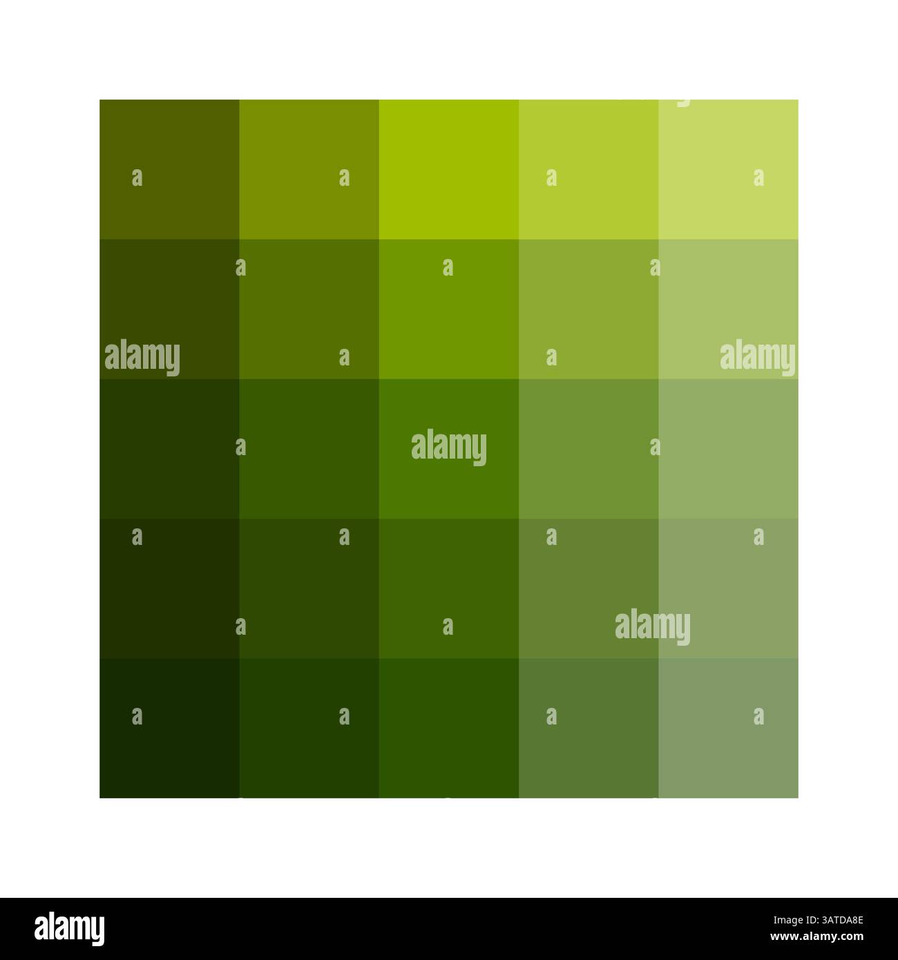 Olive green palette. Warm tone blocks. Natural vector swatch. Earthy ...
