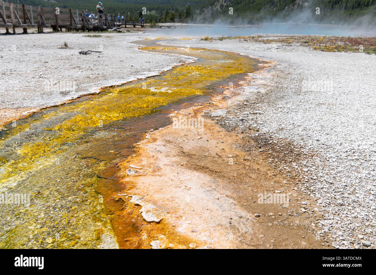 Geothermal pools in Biscuit Basin, Yellowstone Park. Wyoming, USA Stock ...