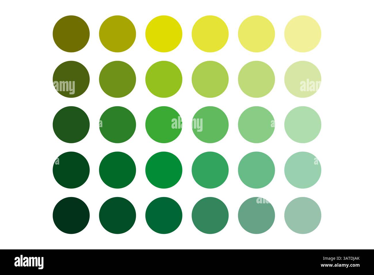 Green circle palette. Leaf tone gradients. Round color swatches. Nature ...