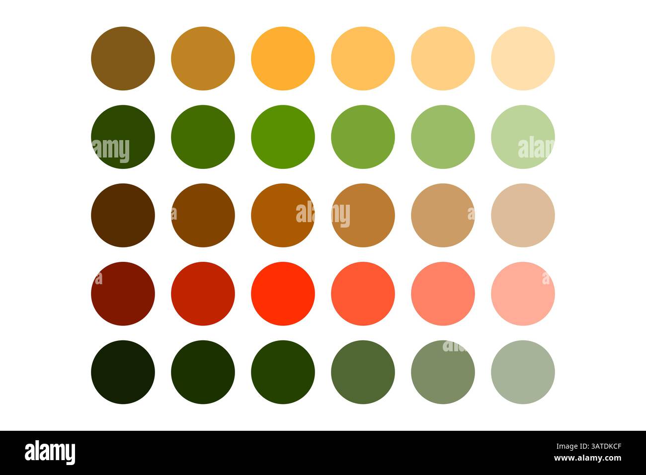 Natural color palette. Circle shape gradient. Earth tone collection ...