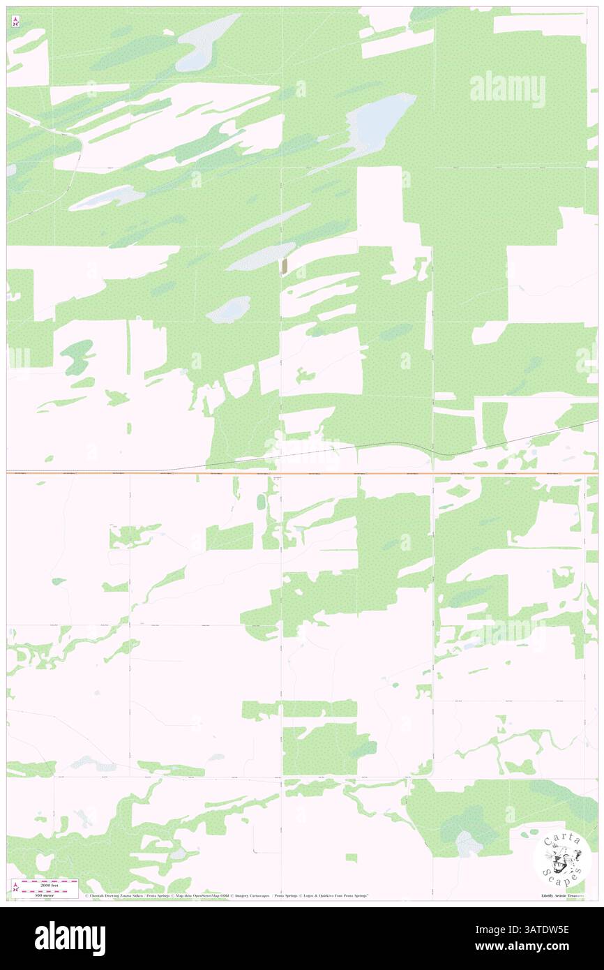 Groundbirch hi-res stock photography and images - Alamy