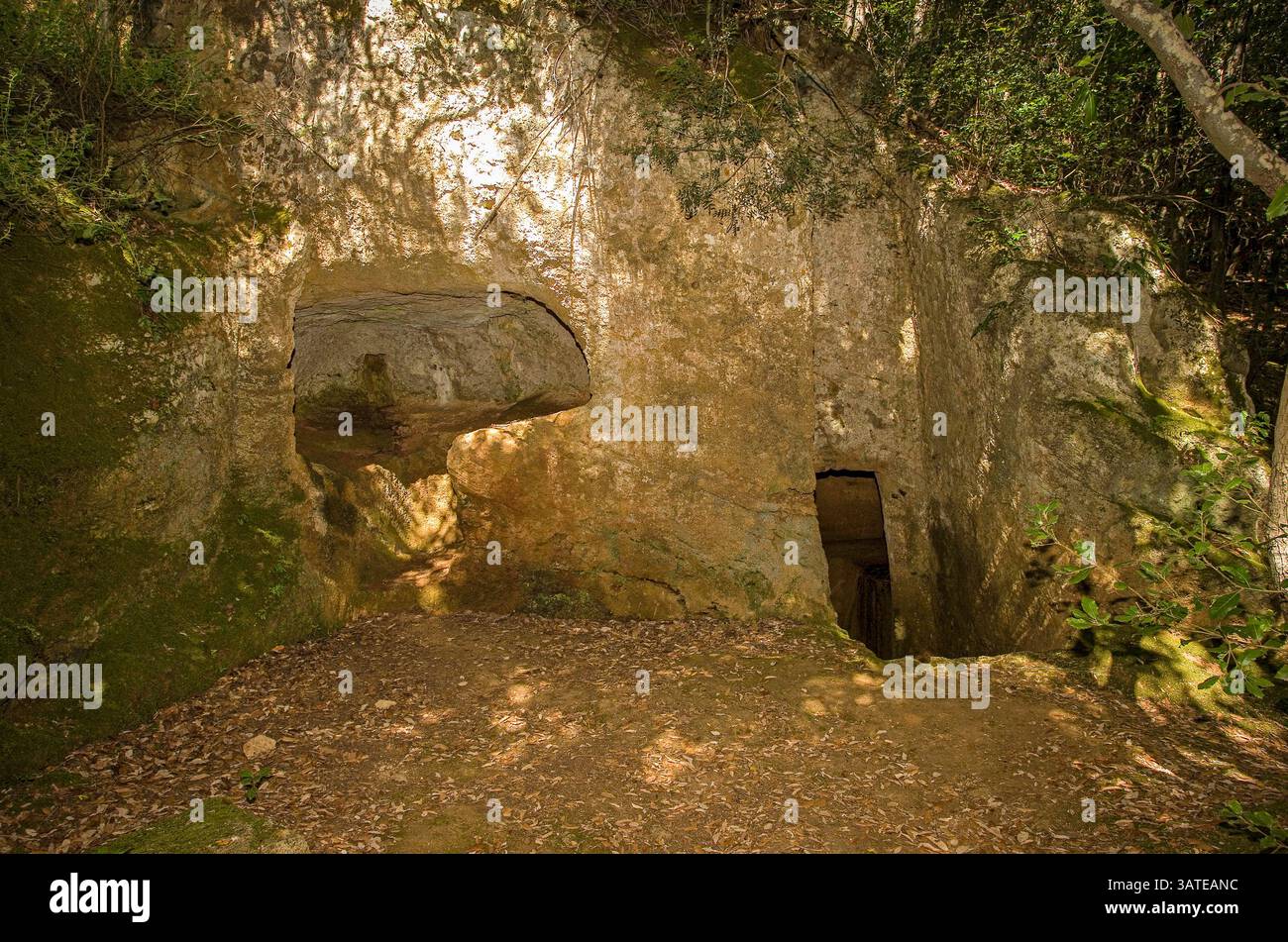 Italy Tuscany Populonia Etruscan Tomb Stock Photo - Alamy