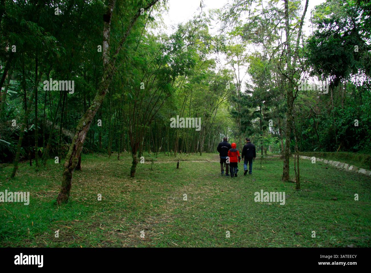 Senderismo en colombia hi-res stock photography and images - Alamy