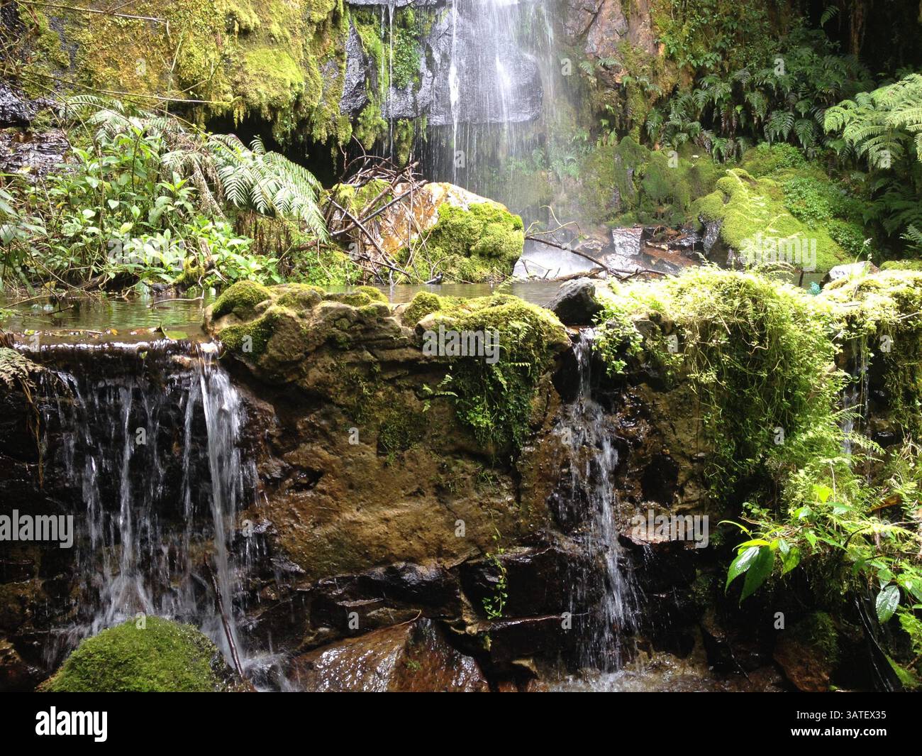 Propiedad de la empresa hi-res stock photography and images - Alamy