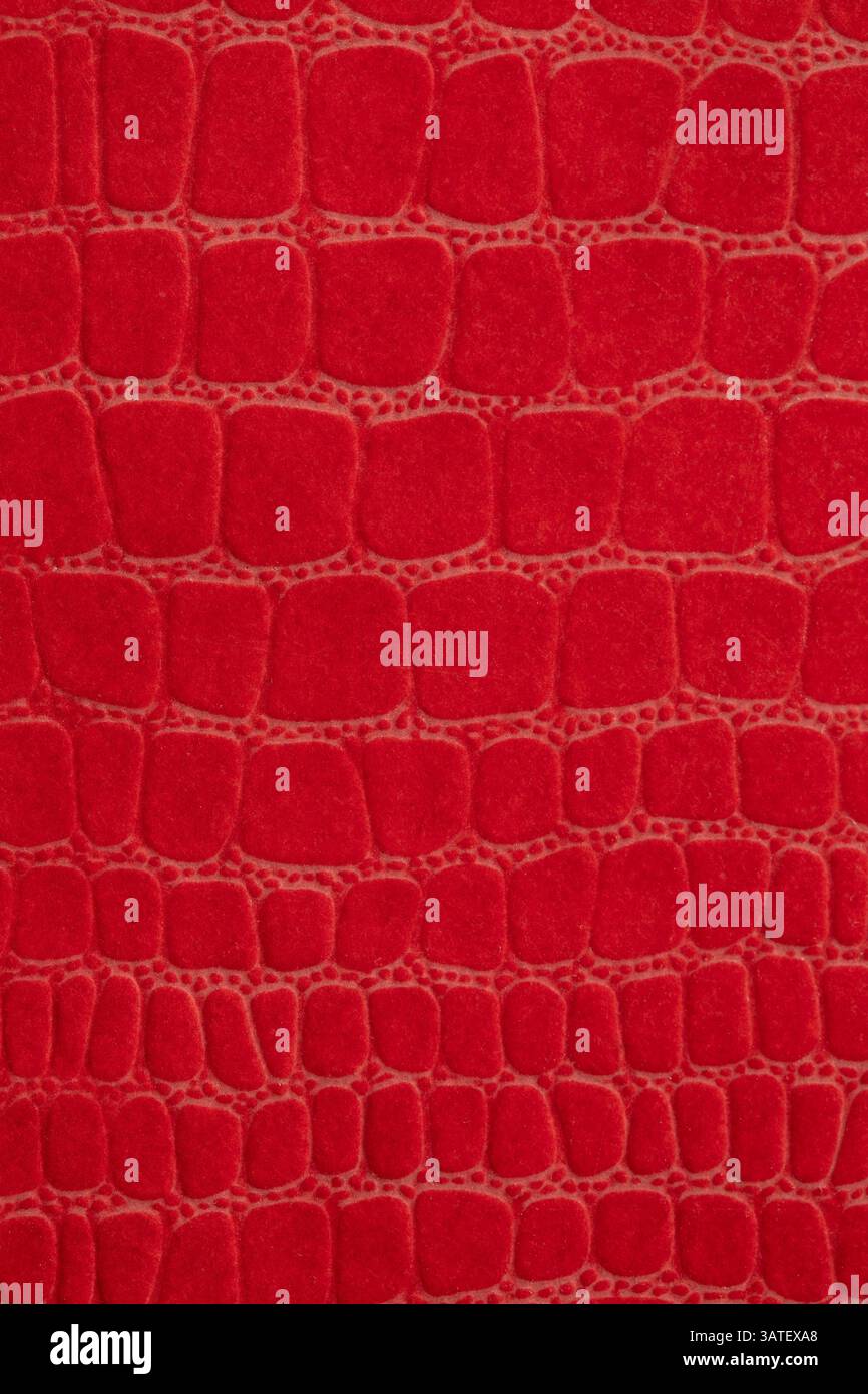 Crocodile leather texture hi-res stock photography and images - Alamy