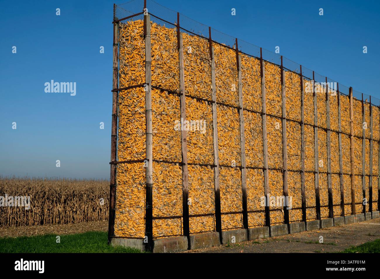 Corn drying and storage in cribs, Jebsheim, Alsace, France Stock Photo ...