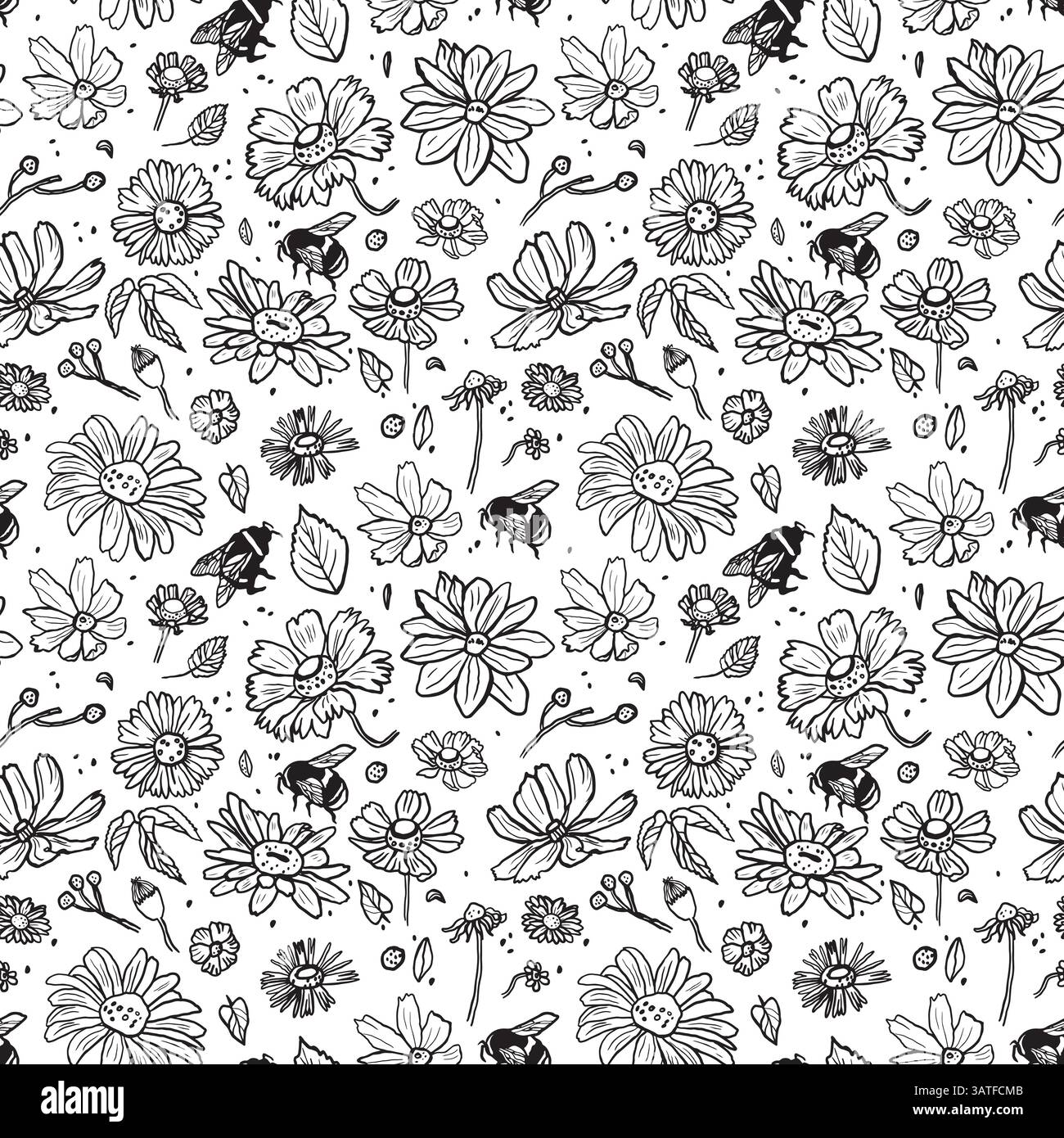 Camomile flowers seamless pattern Black and White Stock Photos & Images ...