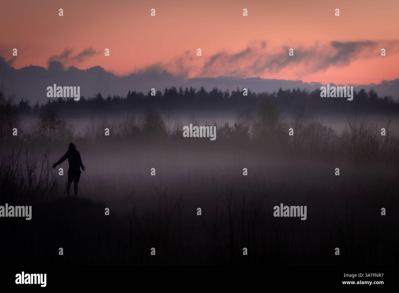 A lone figure stands in a mist-covered field at sunrise, silhouetted ...