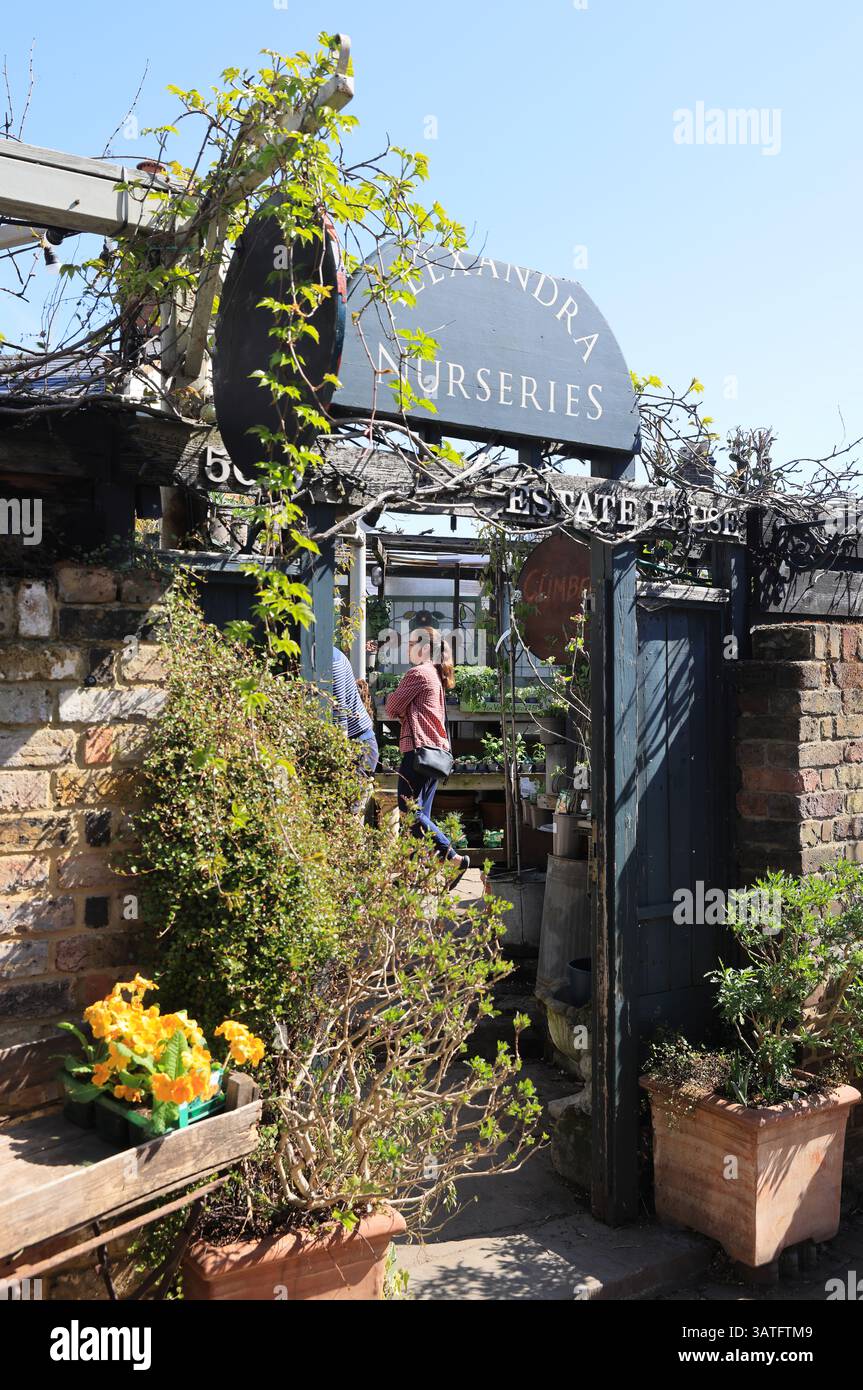 Alexandra Nurseries, independent, family owned community garden centre ...