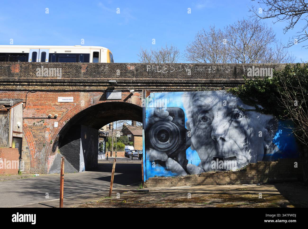 Zabou's portrait of the late Gordon Gibbons , a local & prolific ...