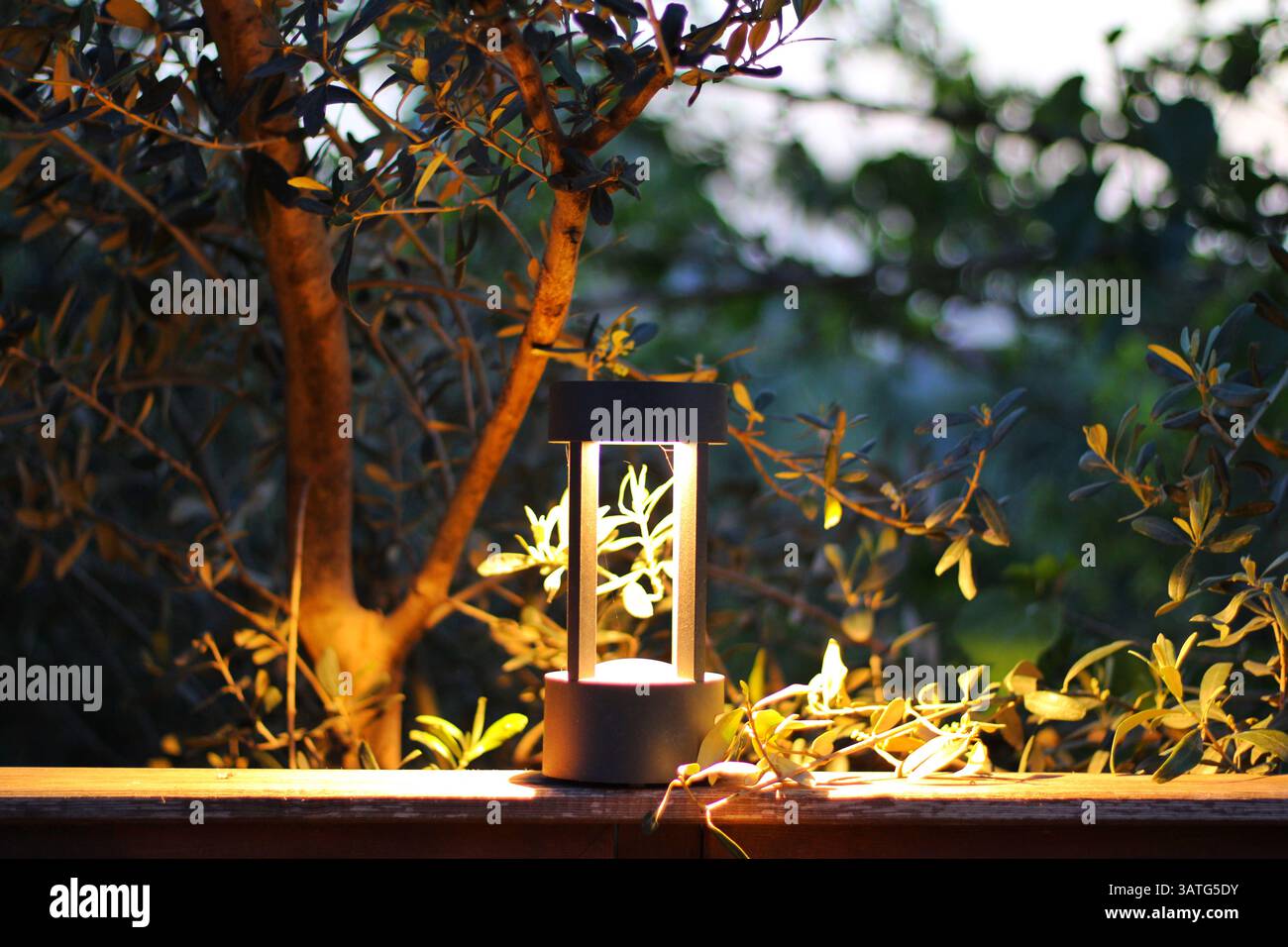 Olive tree garden hi-res stock photography and images - Alamy