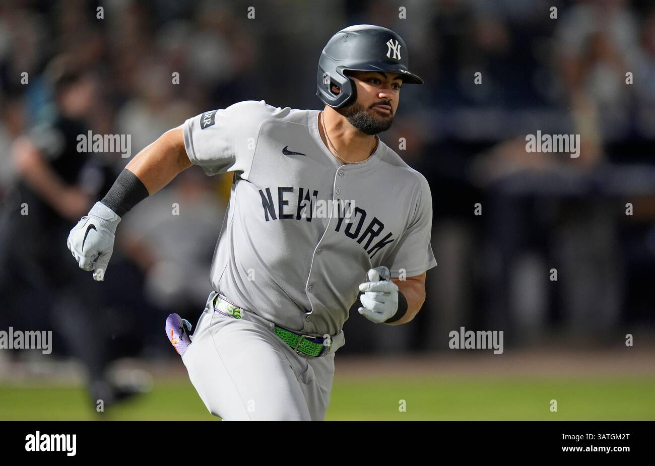 New York Yankees' Jasson Domínguez against the Tampa Bay Rays during ...
