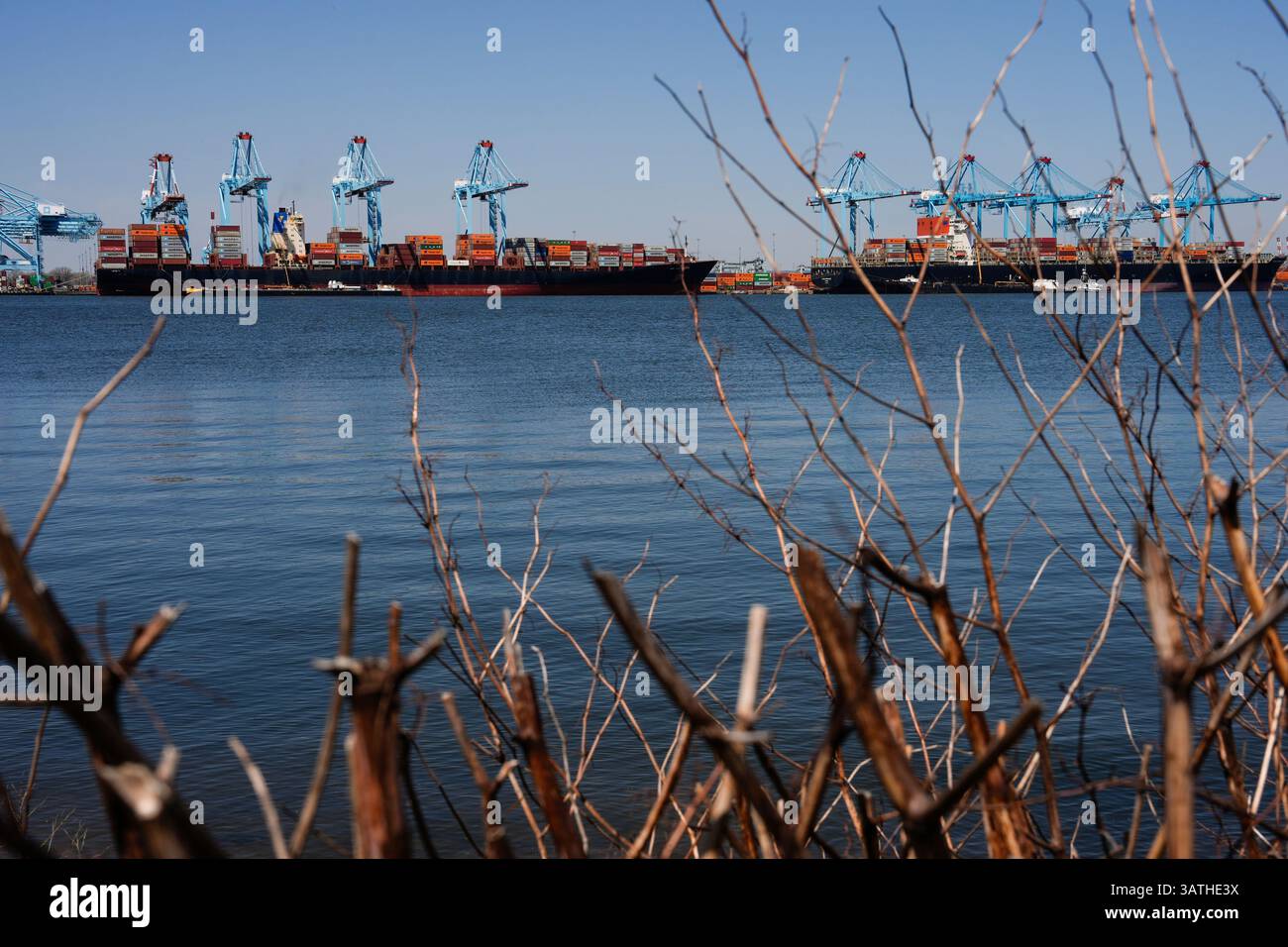 Shipping containers sit on the container ship Alexandra at the Port ...