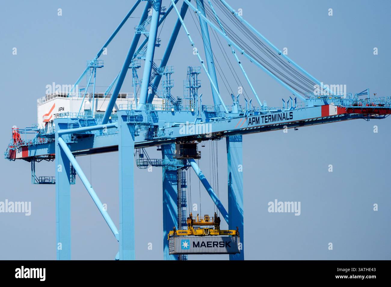 A shipping container is taken off the container ship Alexandra at the ...