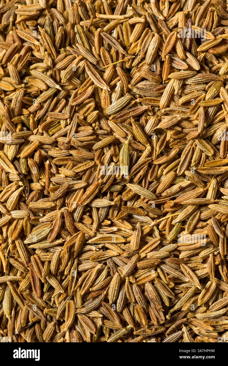 Organic Raw Dry Cumin Seeds in a Bowl Stock Photo - Alamy