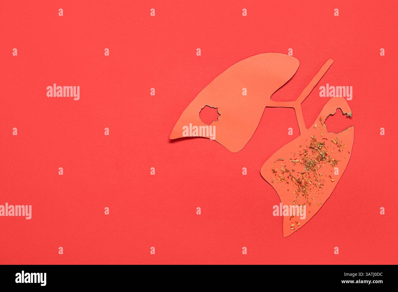 Paper lungs with burnt holes and tobacco on red background. Lung cancer ...