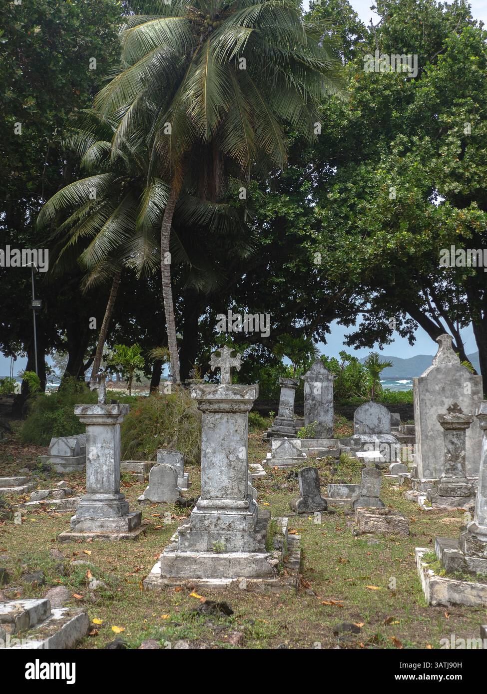 Old french cemetery of Mellon family, 18-19th century, L'Union Estate ...