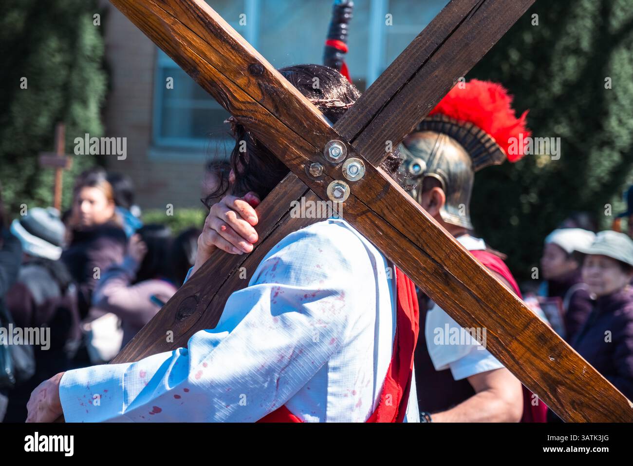 A man depicting Jesus carries a large cross. Parishioners of The Holy ...
