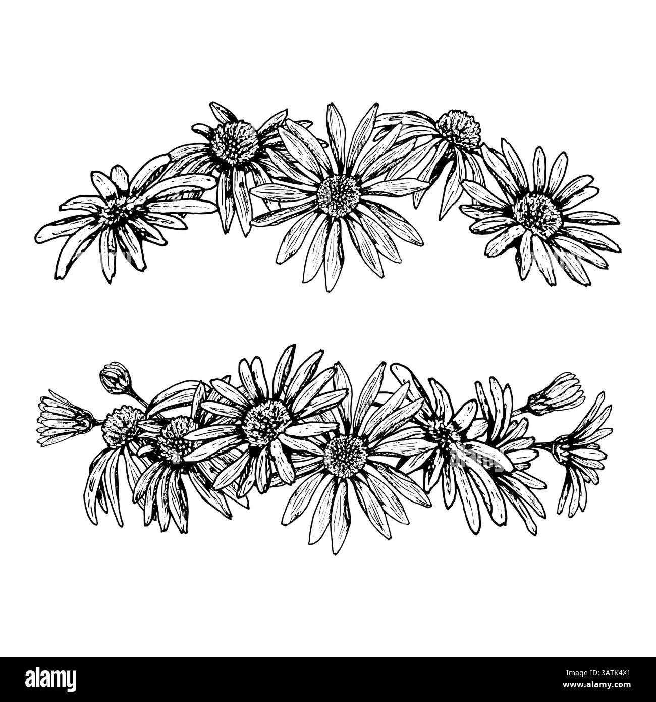 Floral border black and white hi-res stock photography and images - Alamy