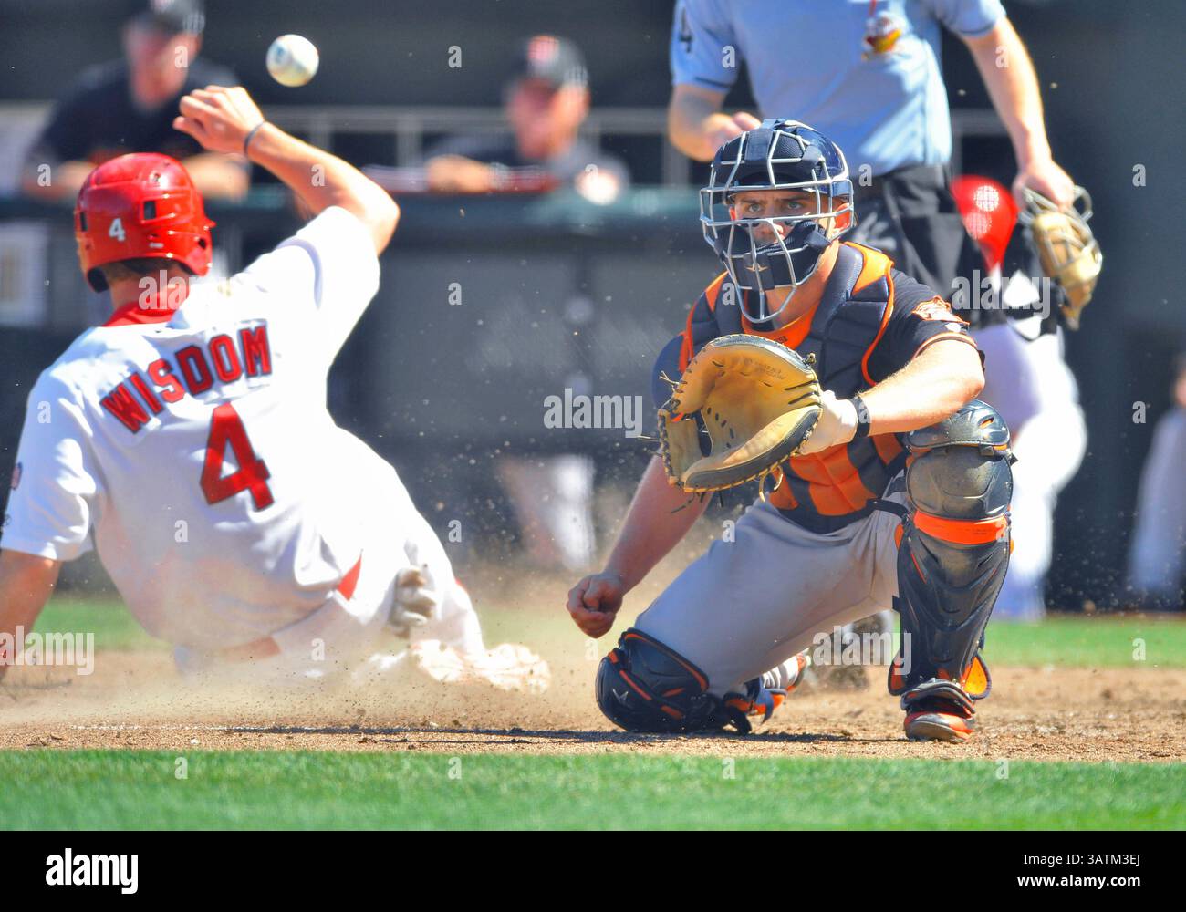 Patrick stassi hi-res stock photography and images - Alamy
