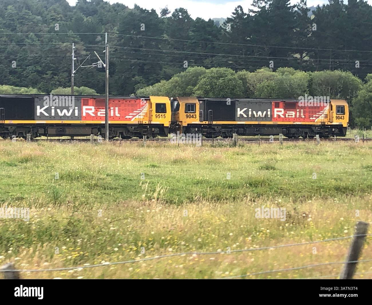 KIWI RAIL TRAINS Stock Photo - Alamy