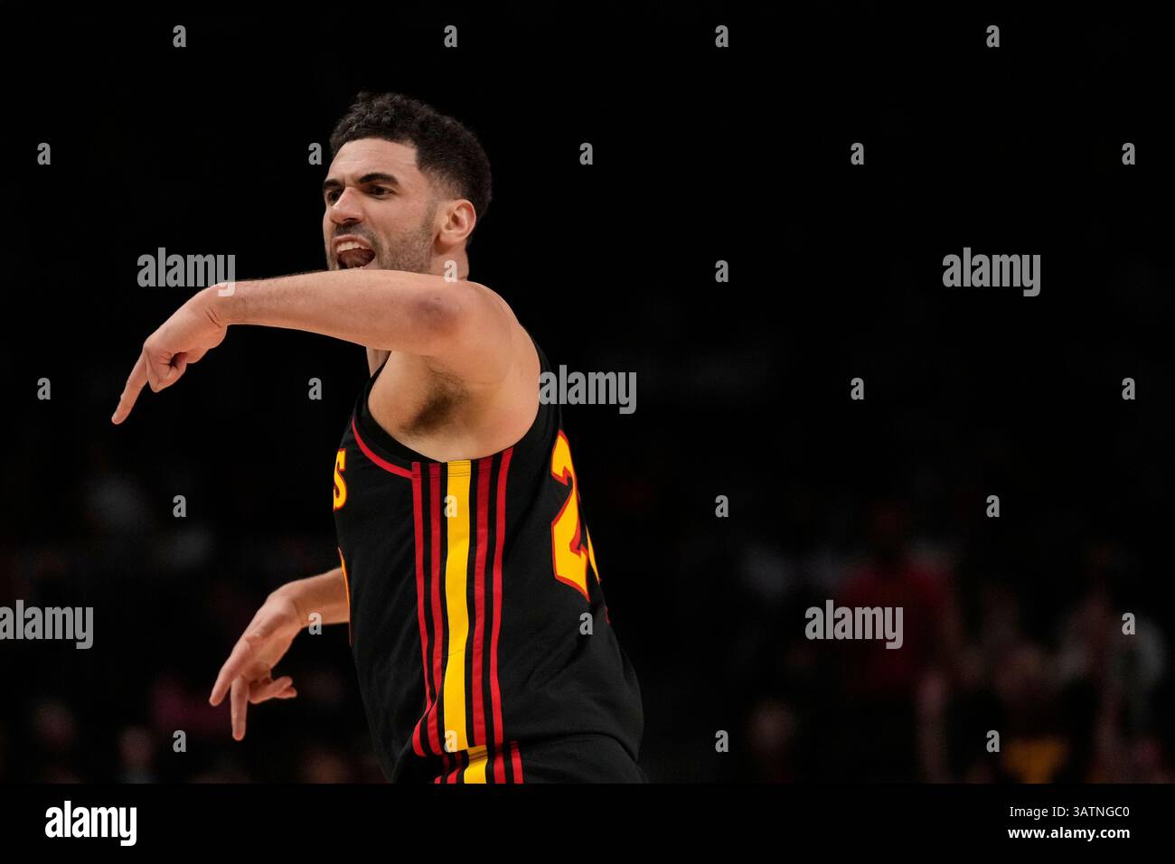 Atlanta Hawks forward Georges Niang (20) reacts after he shoots and ...