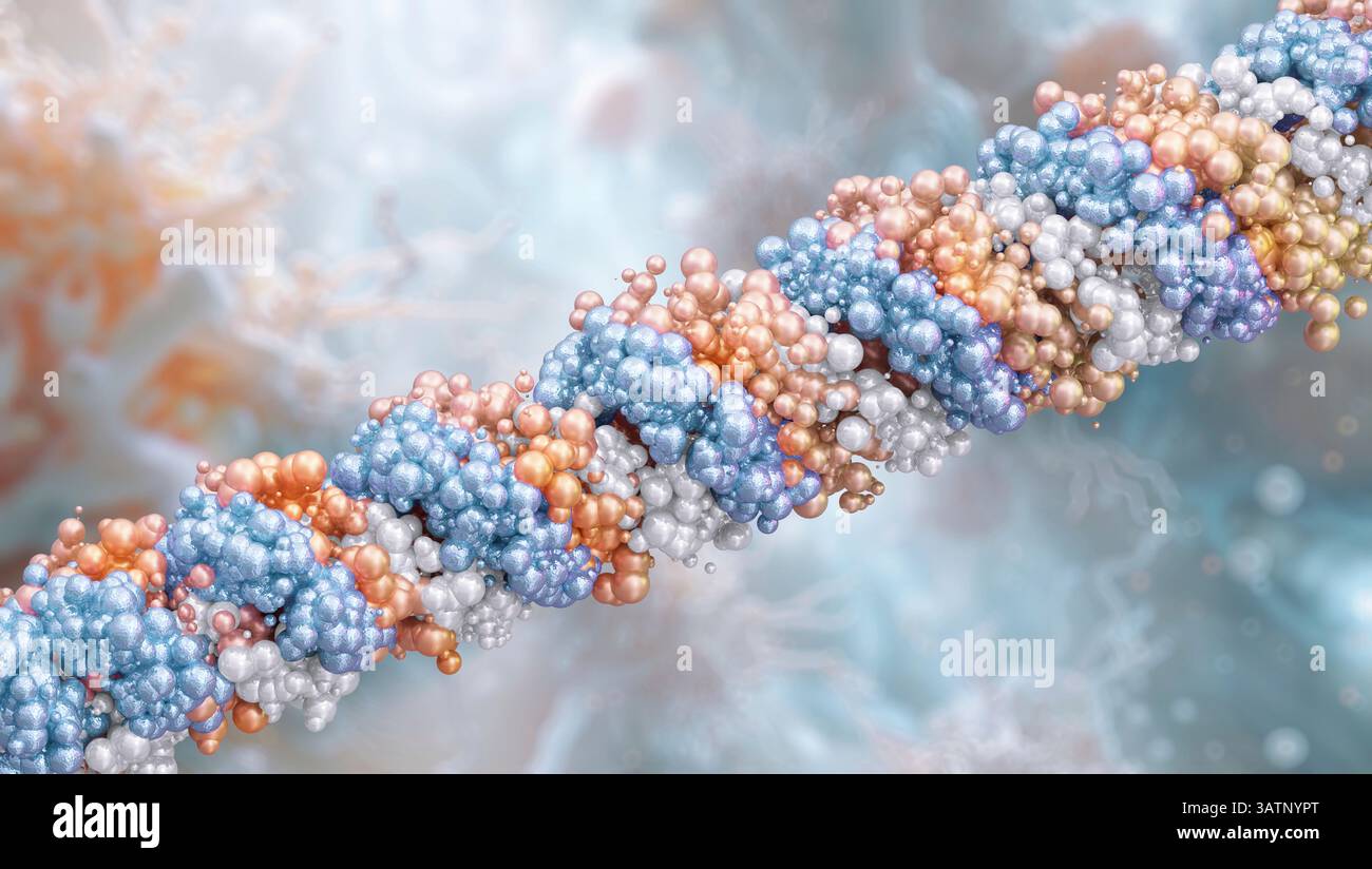 Collagen molecule. Illustration showing the triple-helical structure of ...