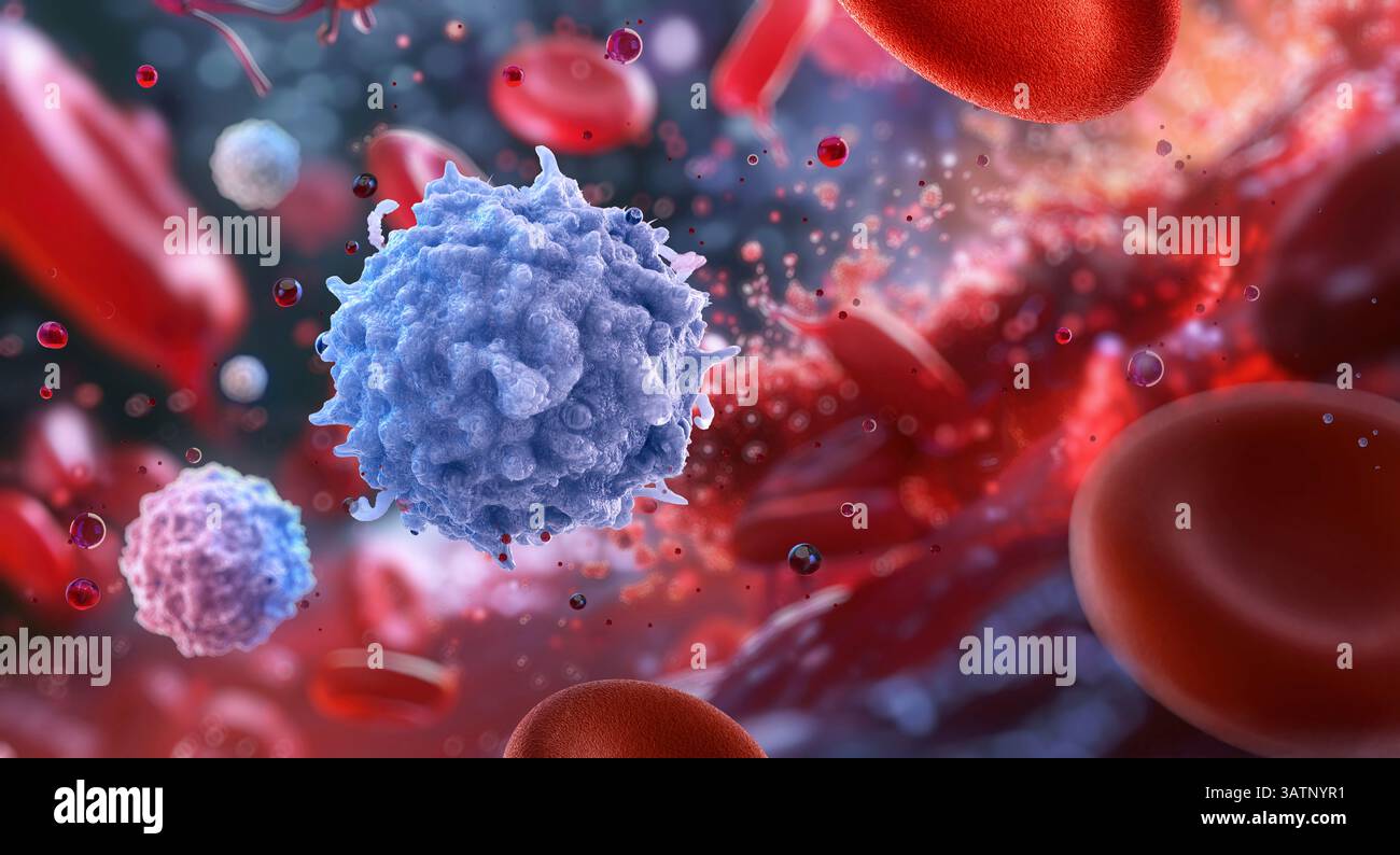 Illustration of human lymphocytes, which include T-cells, B-cells, and ...