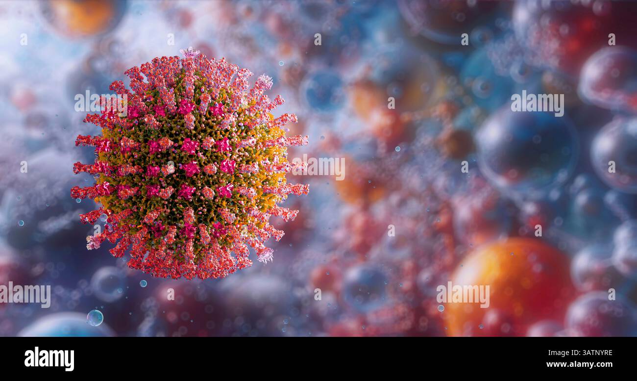 Illustration of the measles morbillivirus. This contagious virus ...