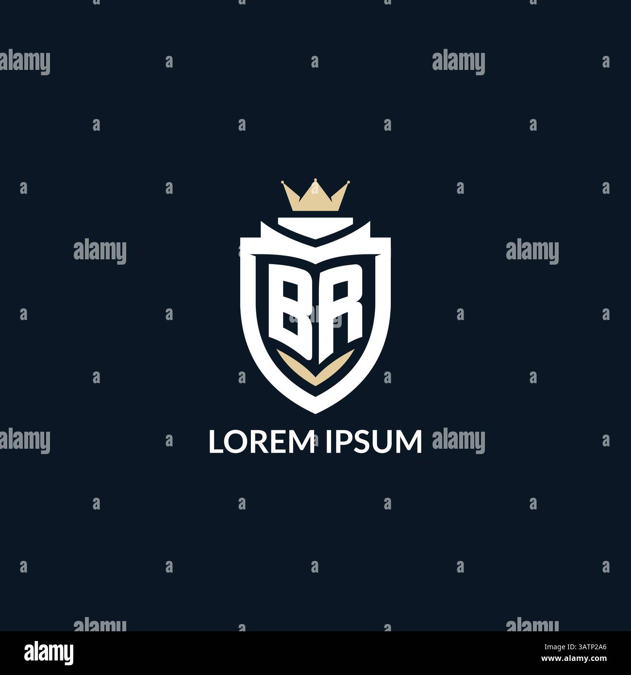 Initial letter BR shield and crown logo style, esport team logo design inspiration vector ...