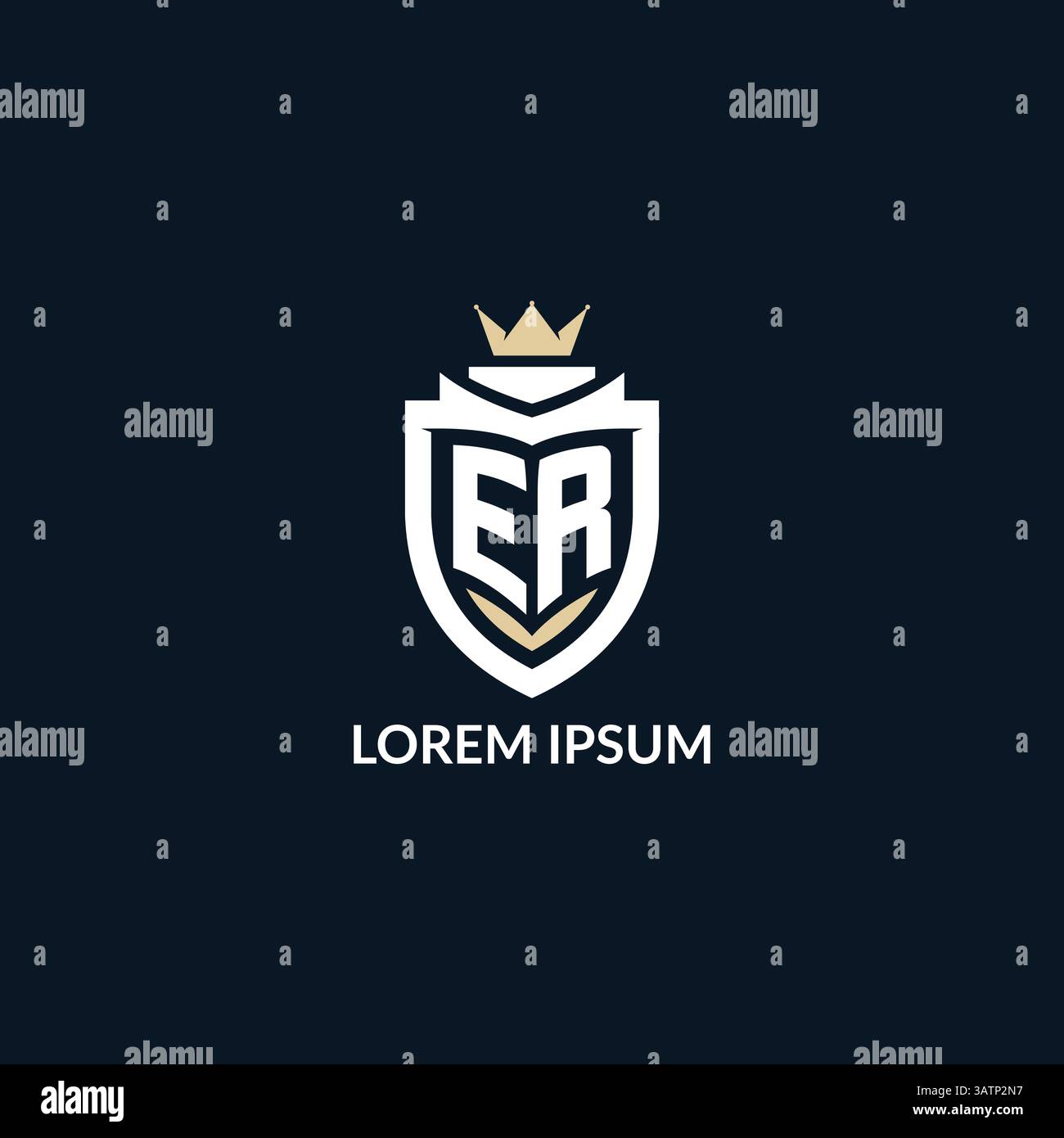 Initial letter ER shield and crown logo style, esport team logo design ...